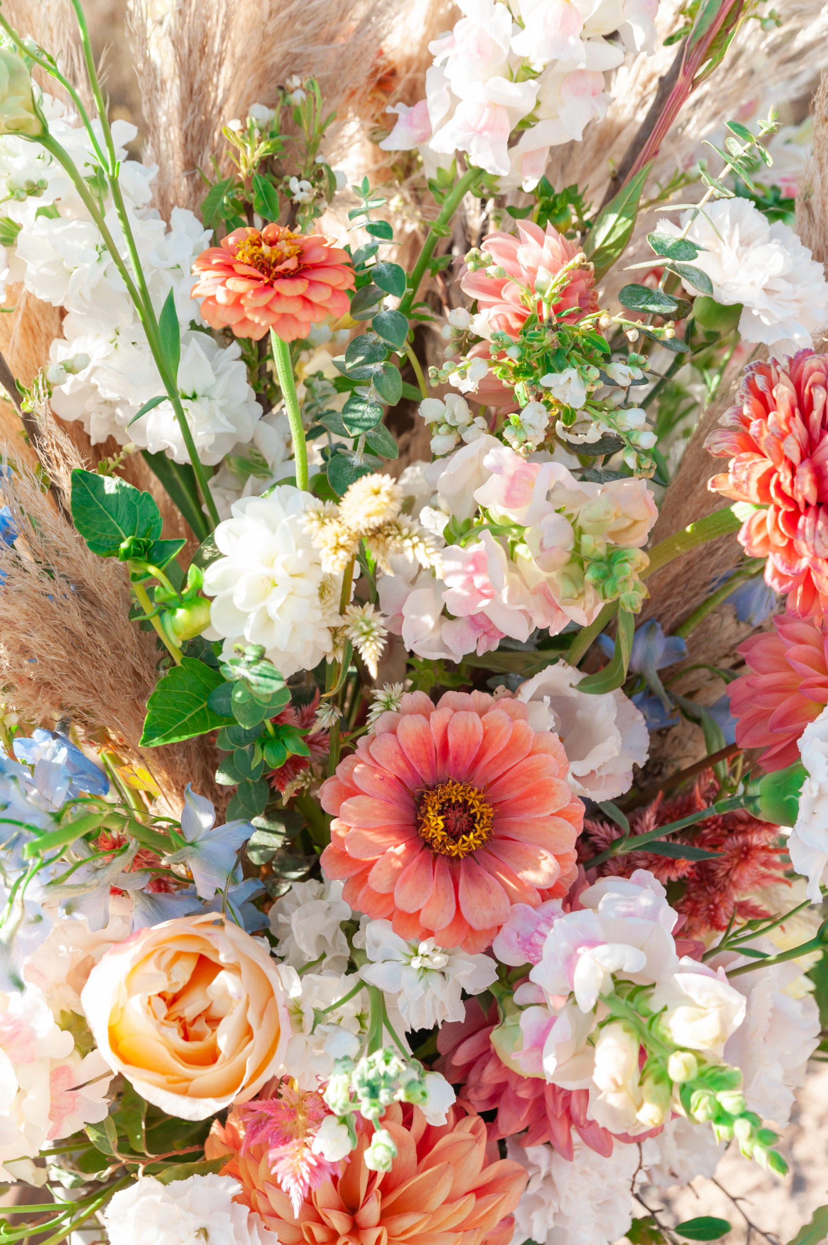 Lake Bluff Preserve | Wedding Venue - kaitlyncolephotography.com